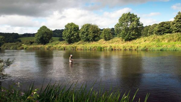 Lower Shannon and Mulcair Trout Fisheries – Adult Season Permit – IFI ...